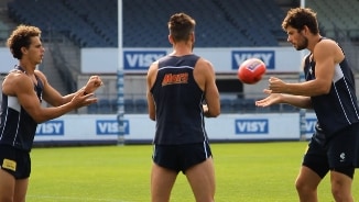 Carlton training breakdown