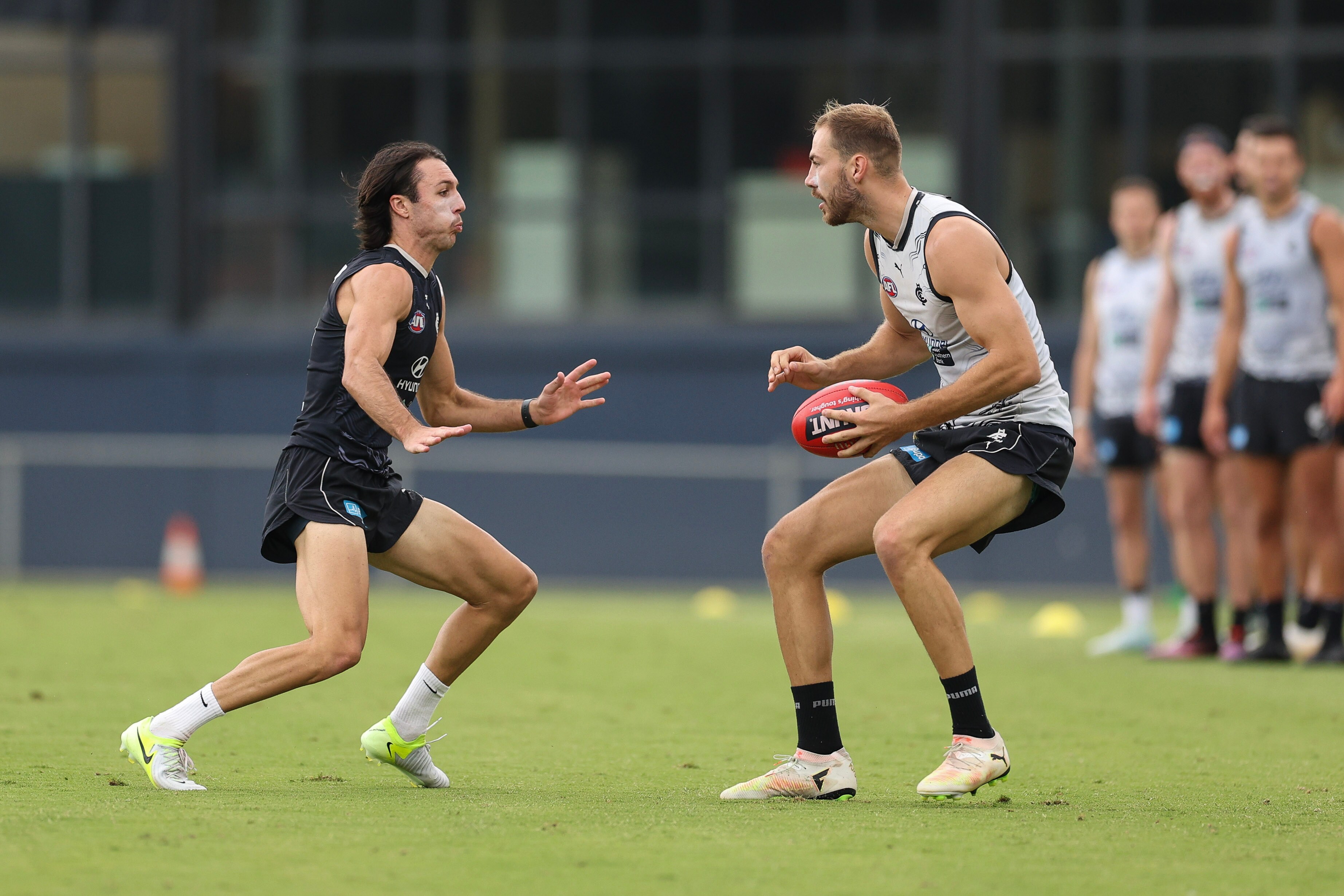 AFL training gallery | Saturday 8 February