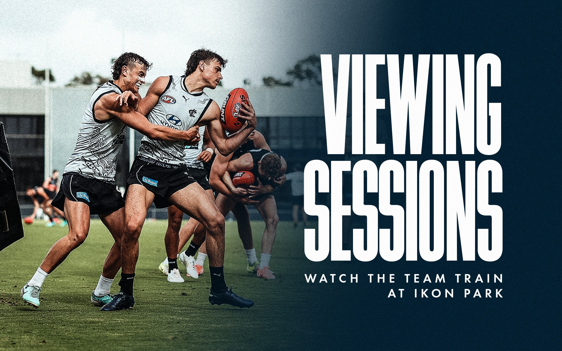 More opportunities to watch the AFL team train this season