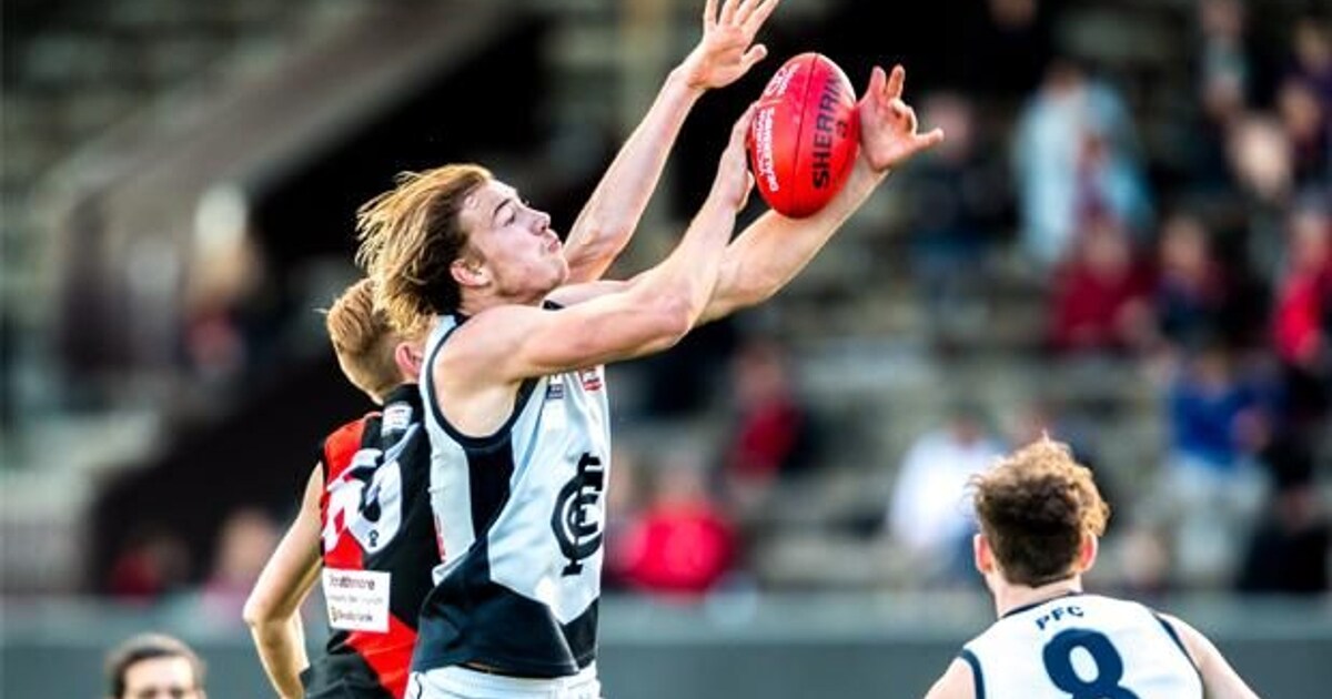 VFL player review: Round 13