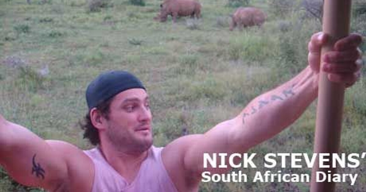 Stevo’s South African Tour Gallery
