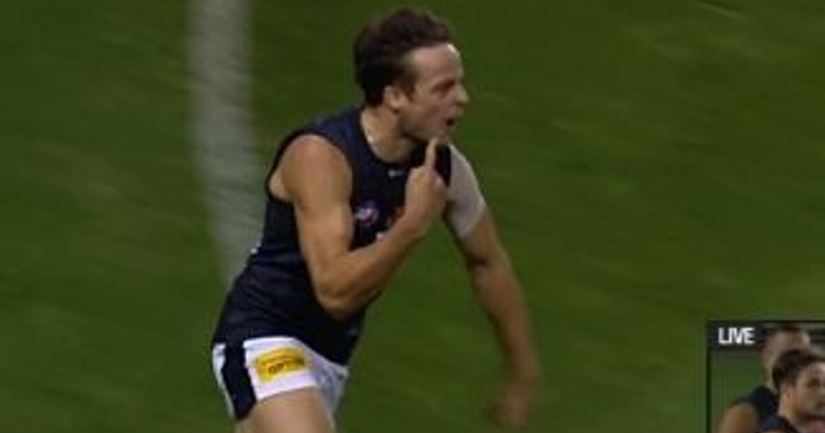 2013 Review: Dylan Buckley