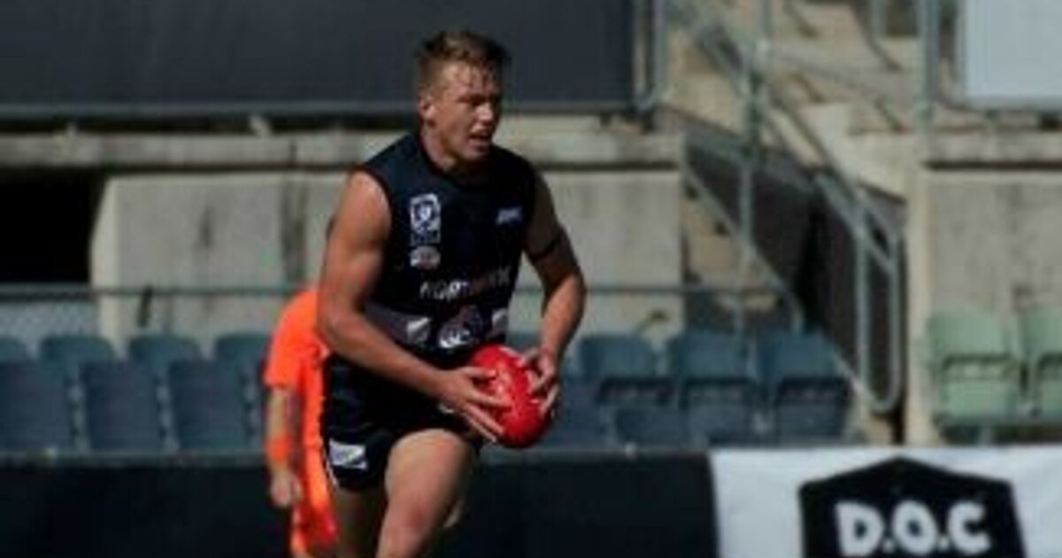 CFC TV: VFL Update - R1