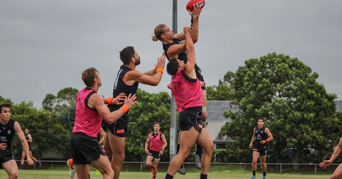 AFL pre-season camp: Day three gallery