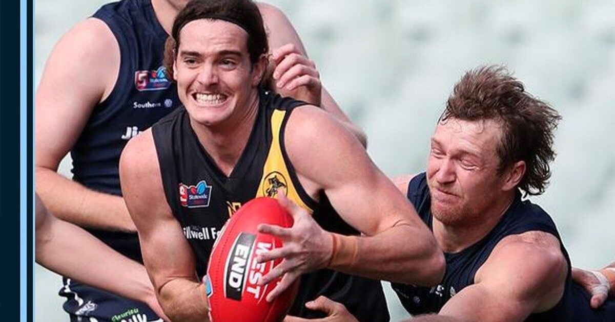 Highlights | Luke Parks