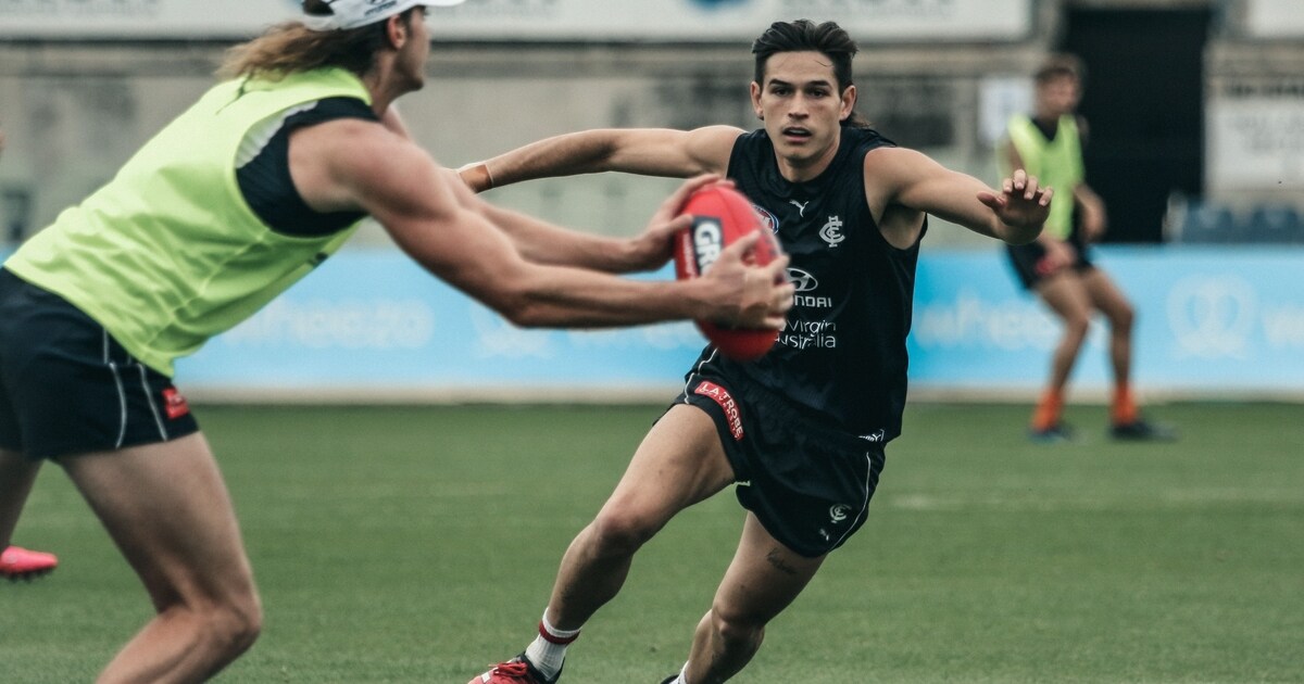 Galleries | Carlton Football Club