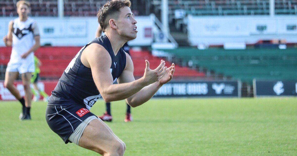 Commitment to his craft: O'Keefe analyses Owies' VFL form