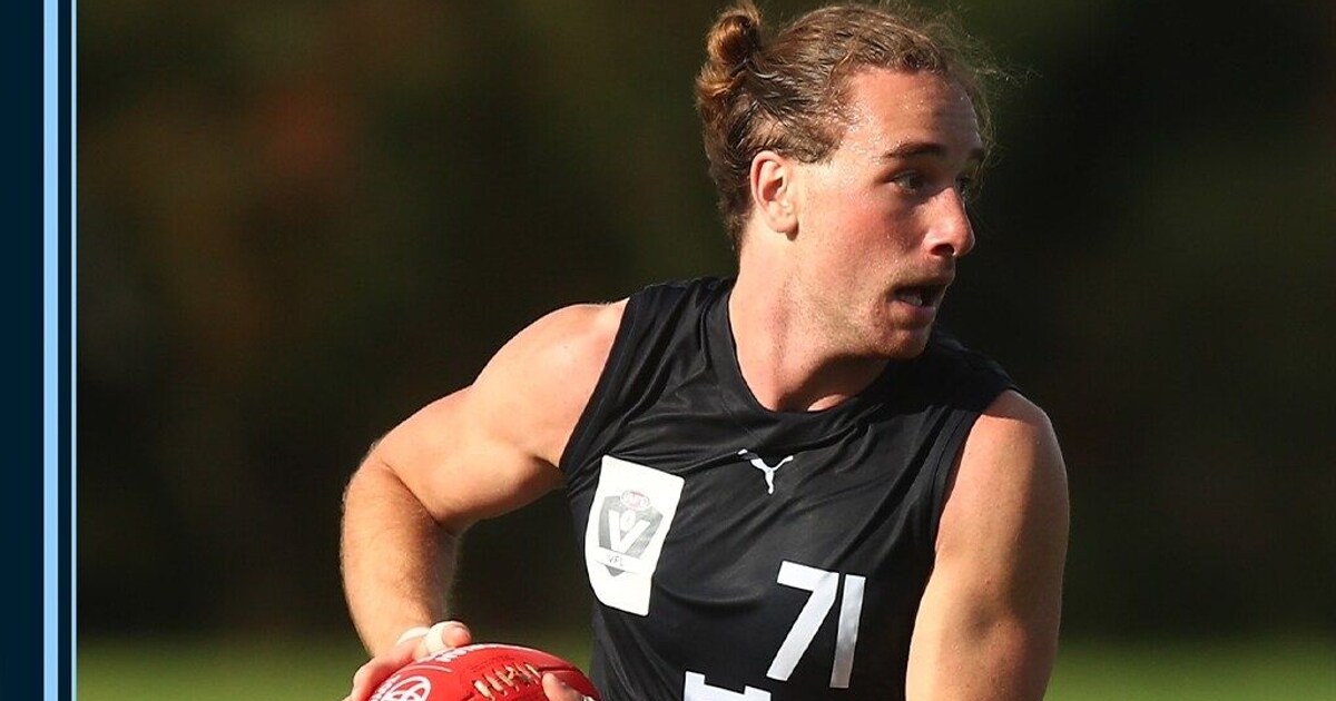 VFL highlights | The best of Radovanovic