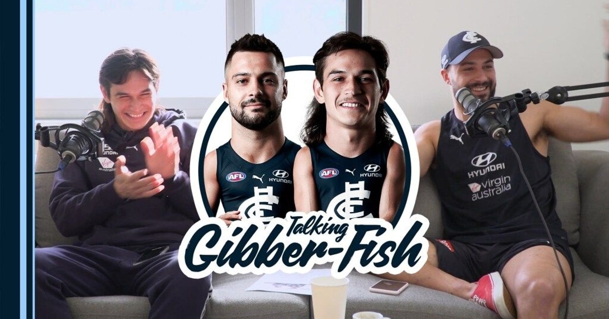Talking Gibber-Fish: Official launch teaser