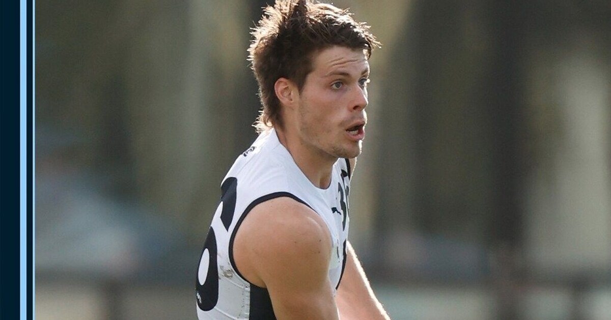 Highlights | Honey's sweet VFL form