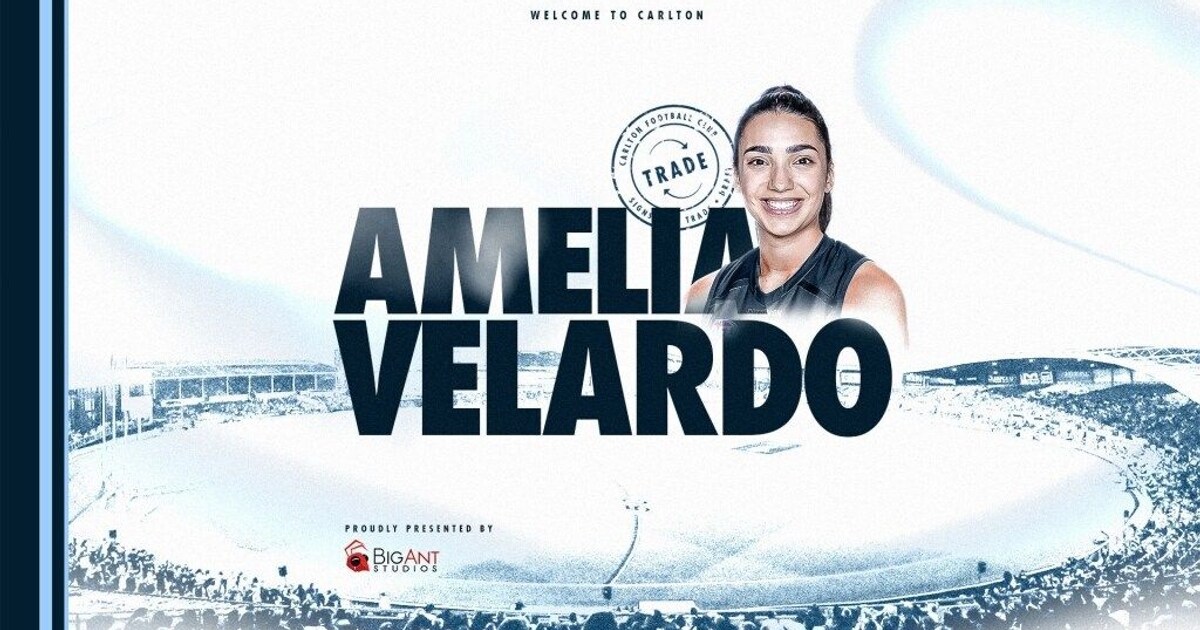 Highlights | Amelia Velardo