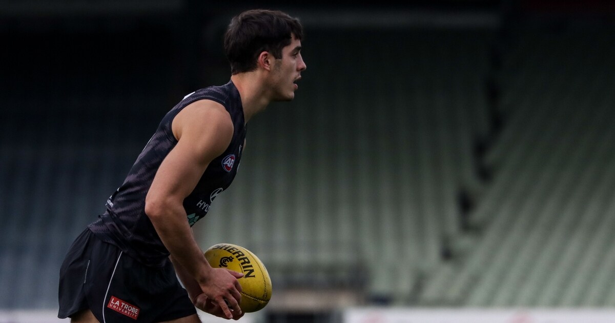 Galleries | Carlton Football Club