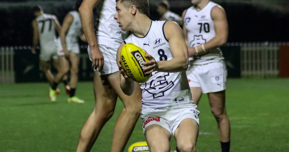 VFL player review: Round 16 v Port Melbourne