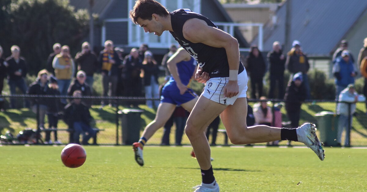 VFL match report: Carlton Reserves fall to Williamstown