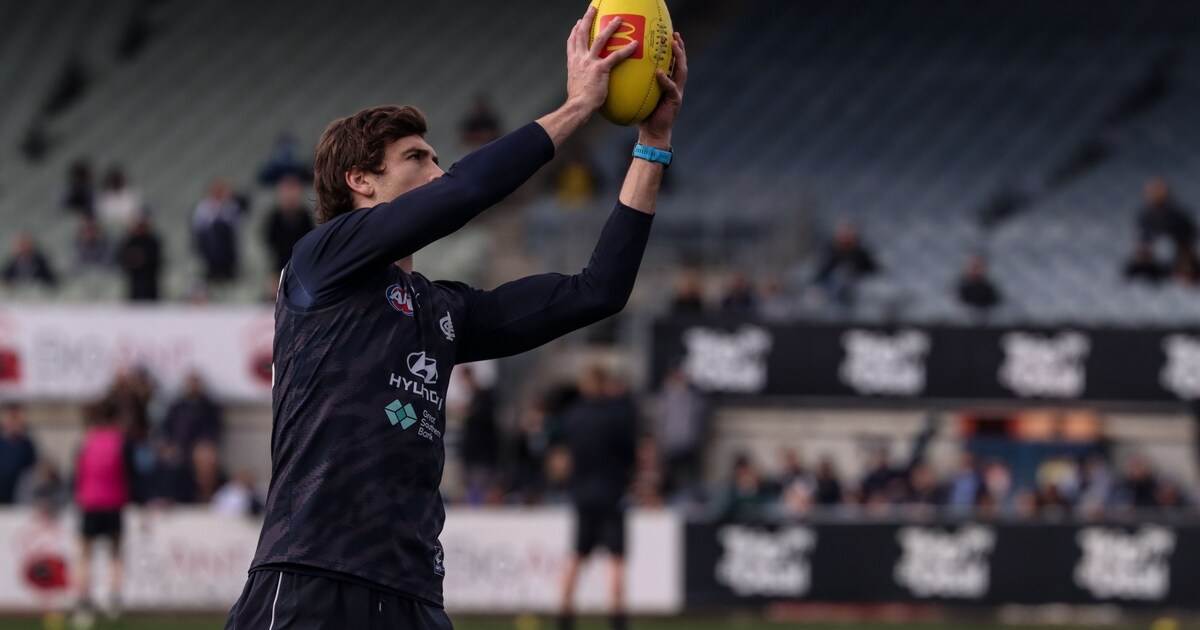 AFL training gallery: Wednesday 17 August