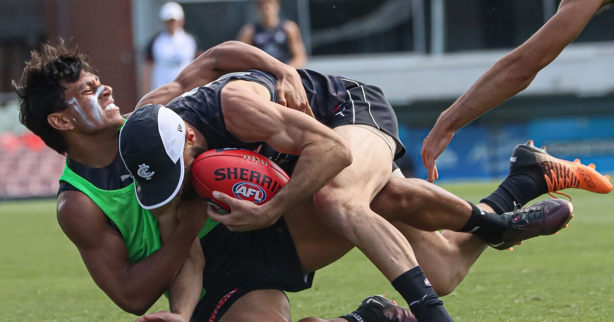 Galleries | Carlton Football Club