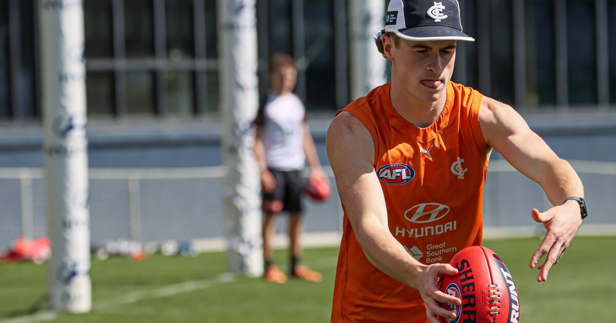 Galleries | Carlton Football Club