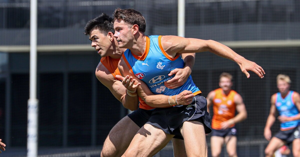 AFL training gallery | Saturday 17 December