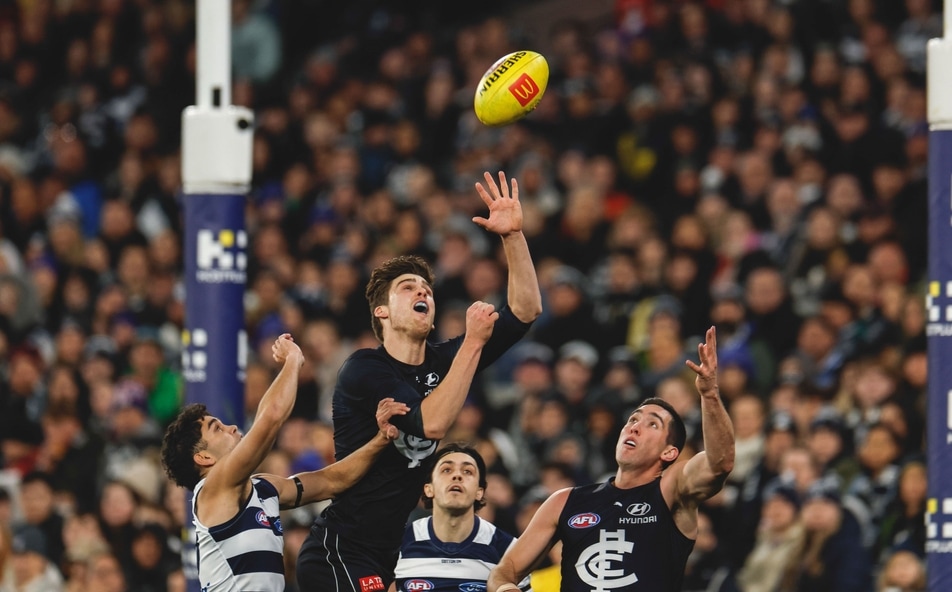 Terry Hollands Rugby