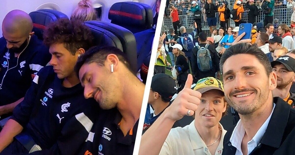 Life in the Pitt lane