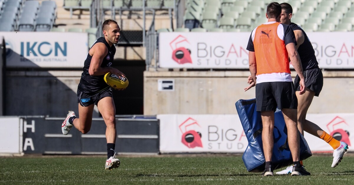Galleries | Carlton Football Club