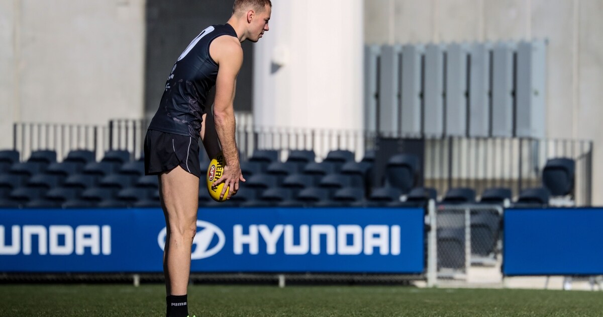 AFL training gallery: Wednesday 24 May