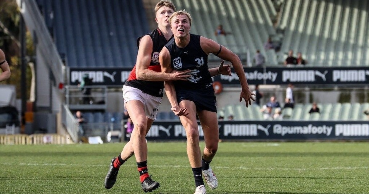 VFL R12 | All Carlton highlights v Essendon
