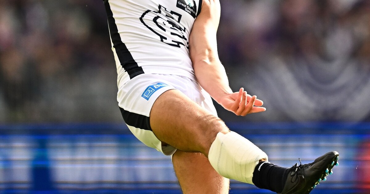 Galleries | Carlton Football Club