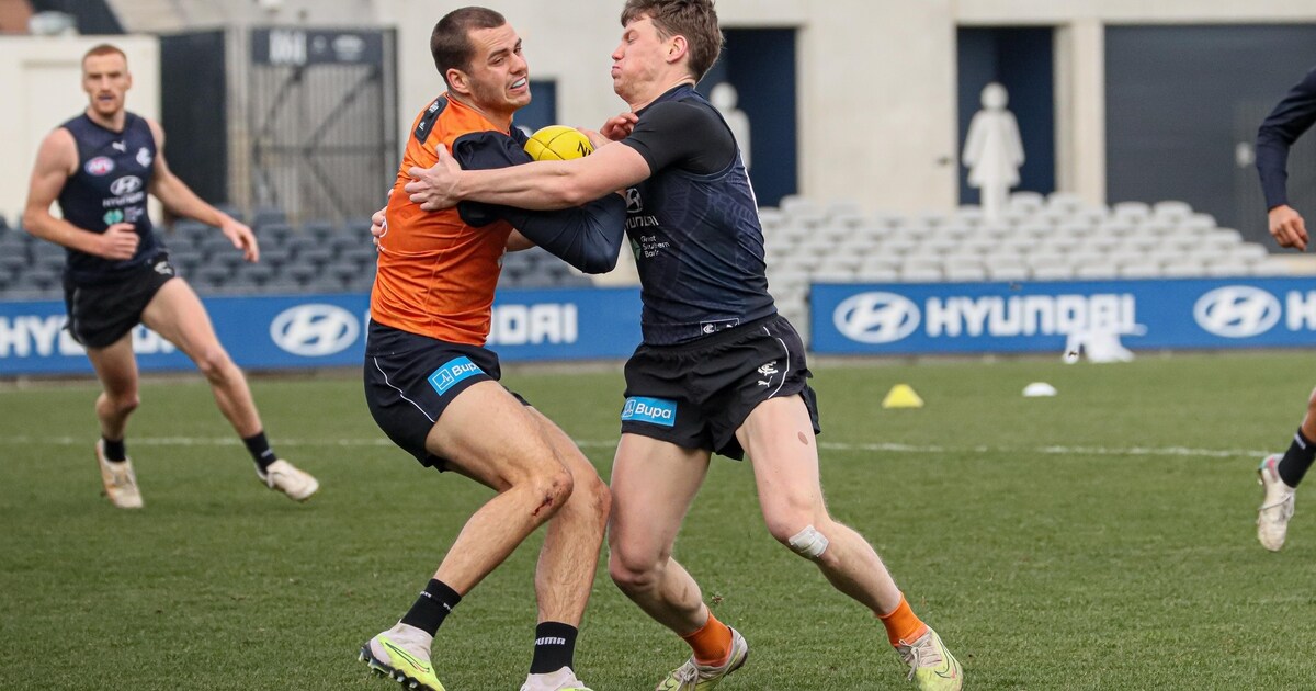 Galleries | Carlton Football Club