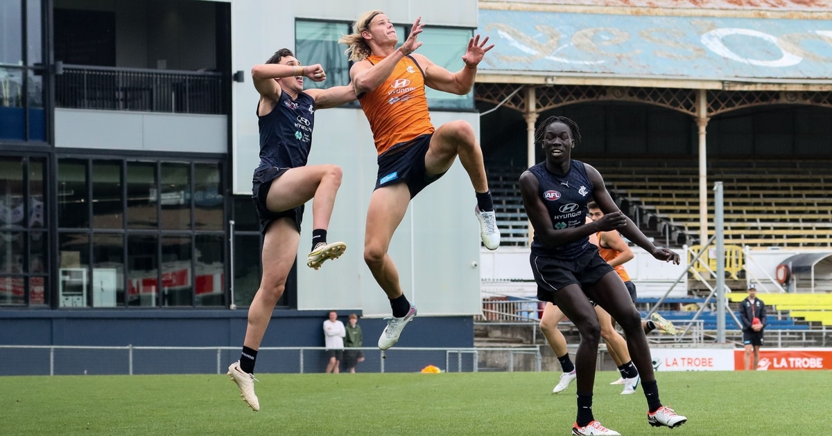 Galleries | Carlton Football Club