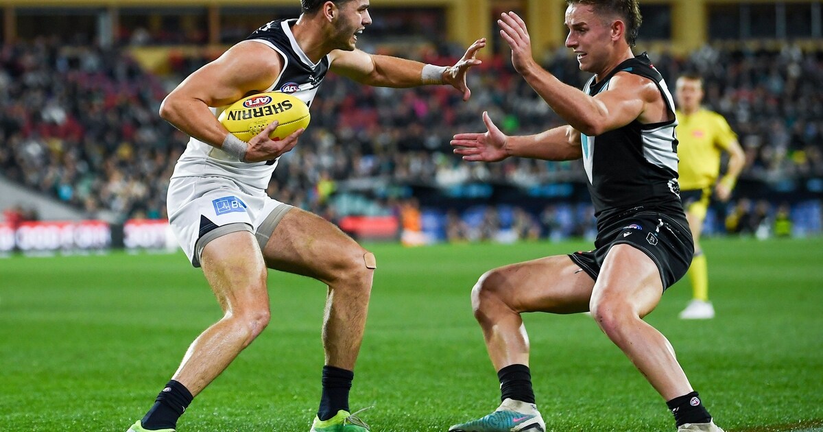 Galleries | Carlton Football Club