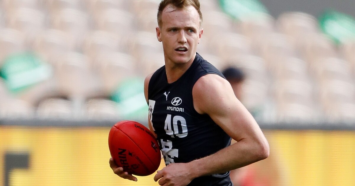 Happy to help: Hayes reconnects with VFL Blues