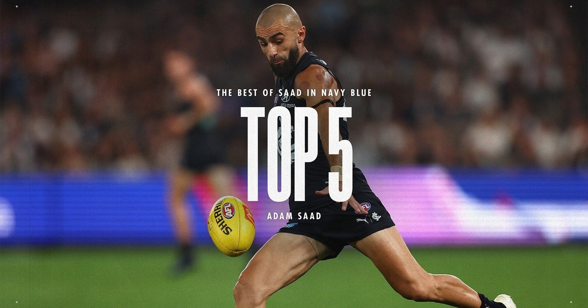 Top 5 | Adam Saad in Navy Blue
