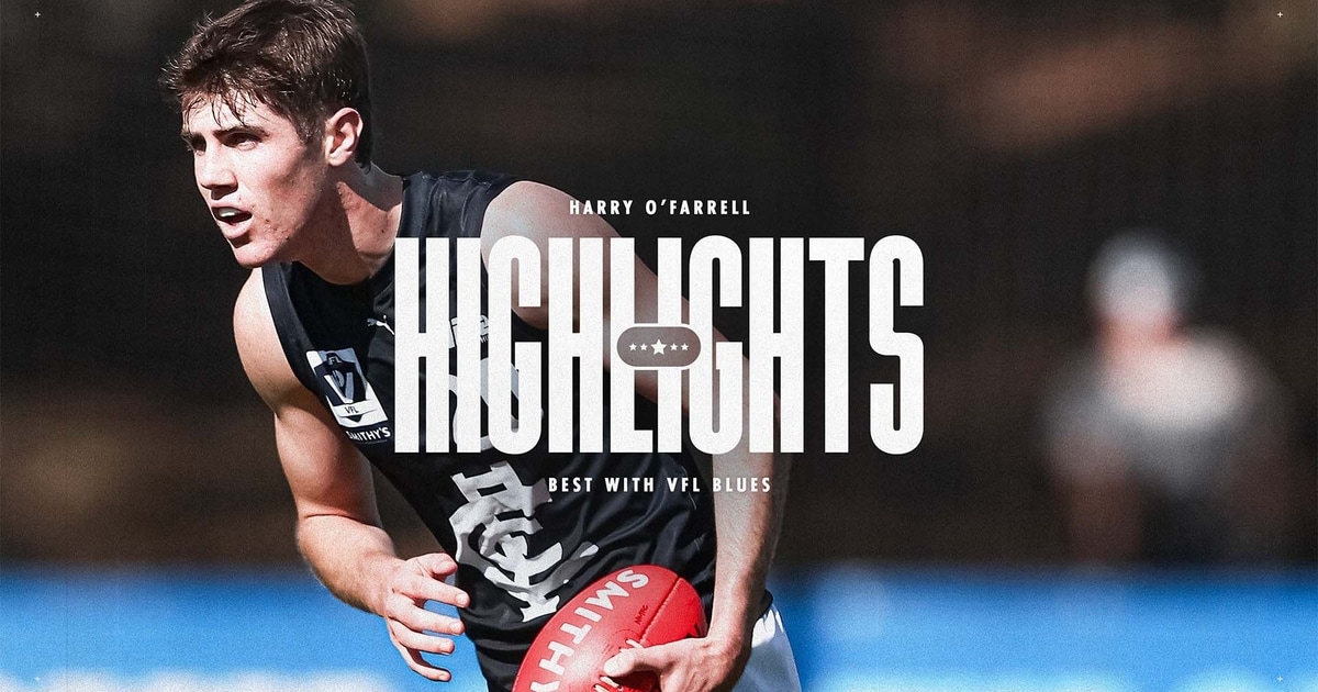 Highlights | Watch the best of new debutant, Harry O'Farrell