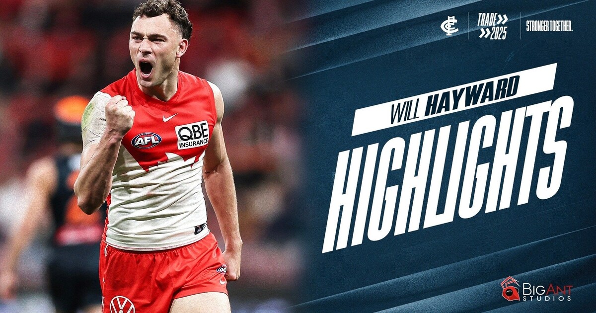 Highlights | Will Hayward